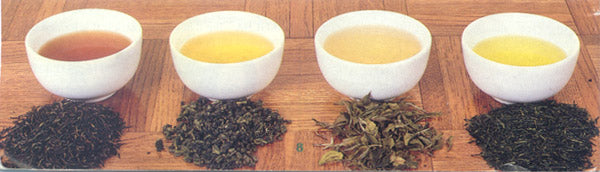 A Tea Taster’s Glossary – Simpson & Vail