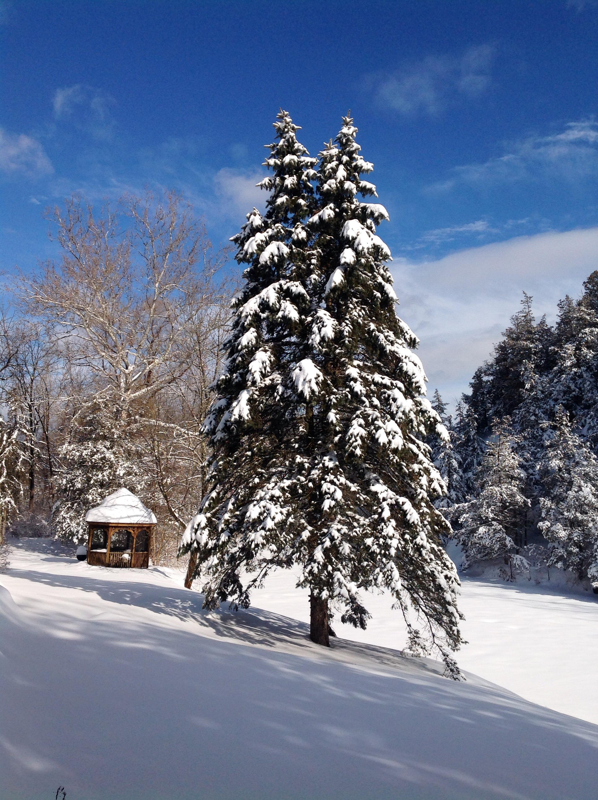 Winter Words and Tea – Simpson & Vail