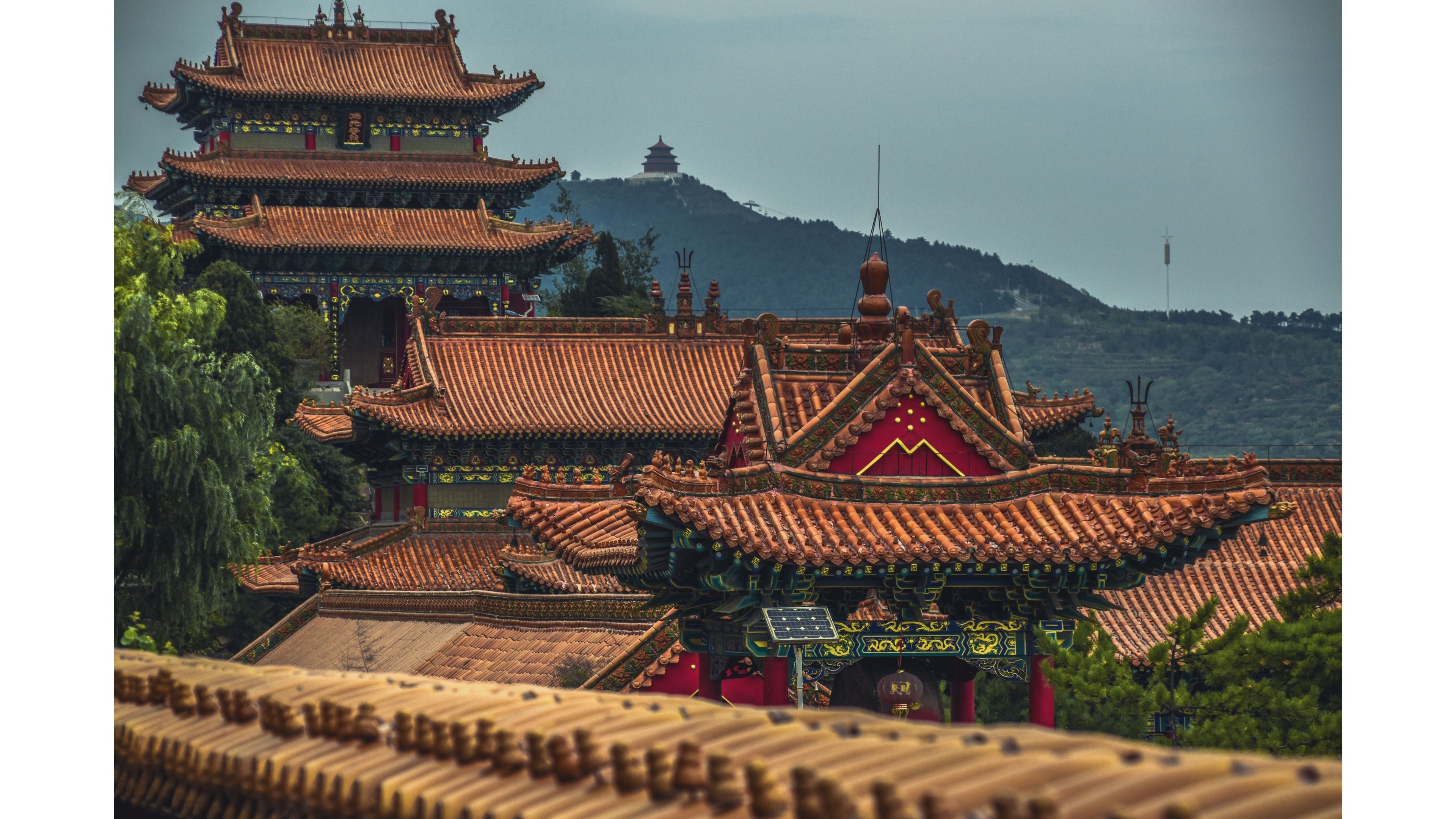 China Green Tea – Simpson & Vail